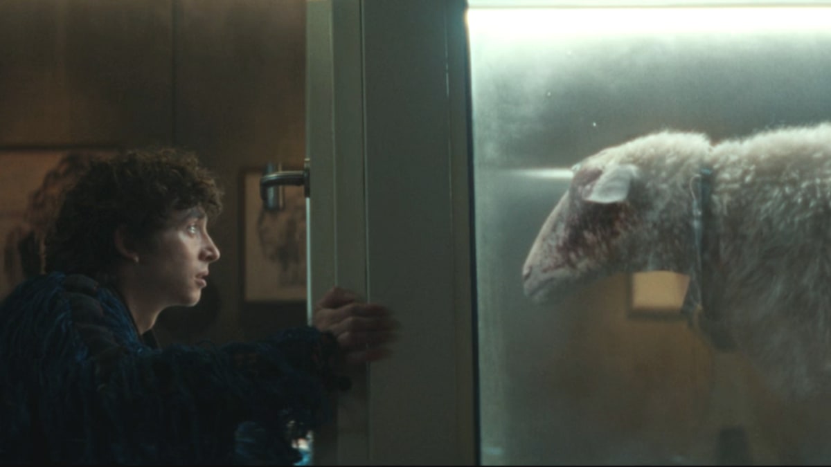 Alien: Earth Lets Some Penultimate Hell Break Loose In ‘Emergence’ - TV ...